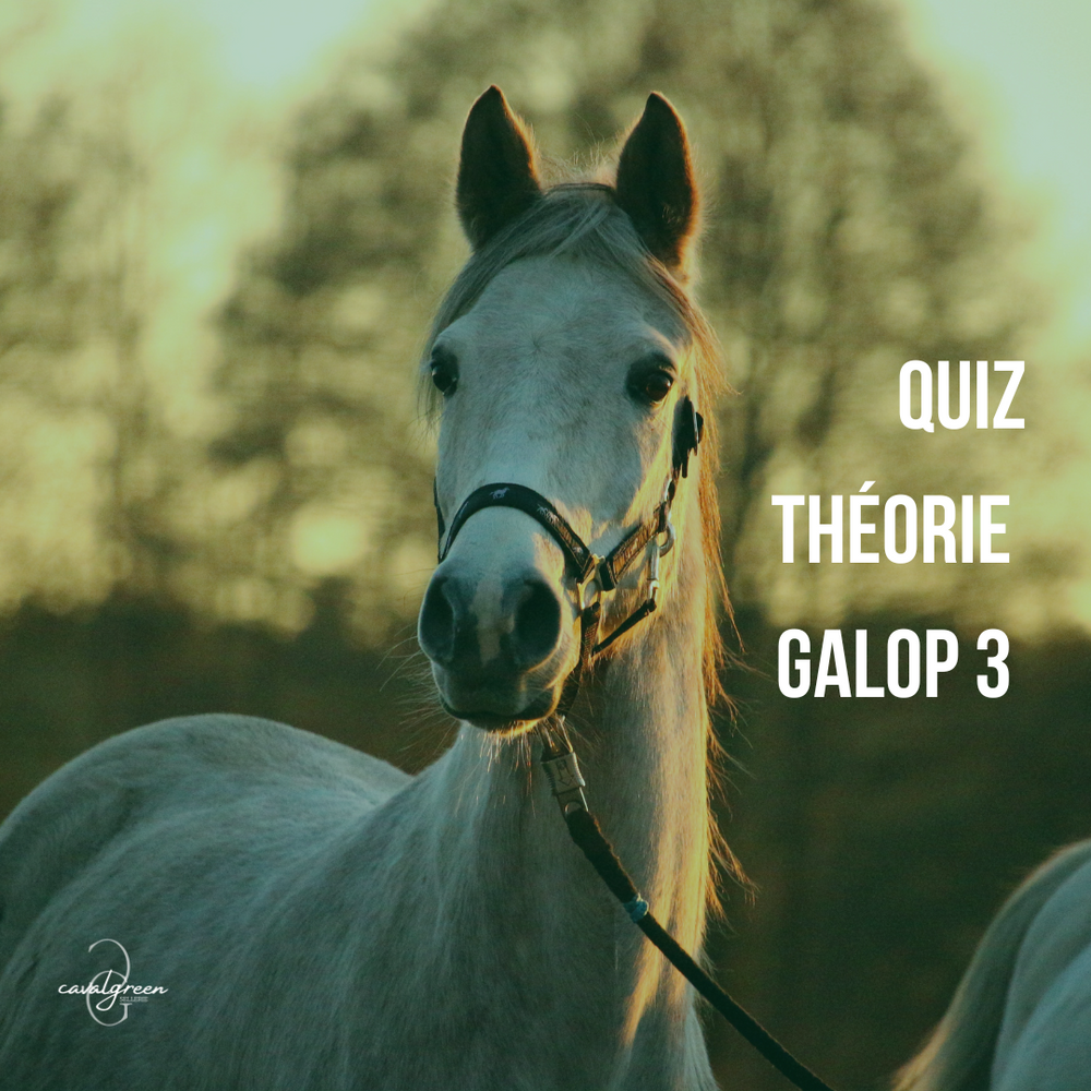 Quiz Galop 5 - Cavalgreen le blog